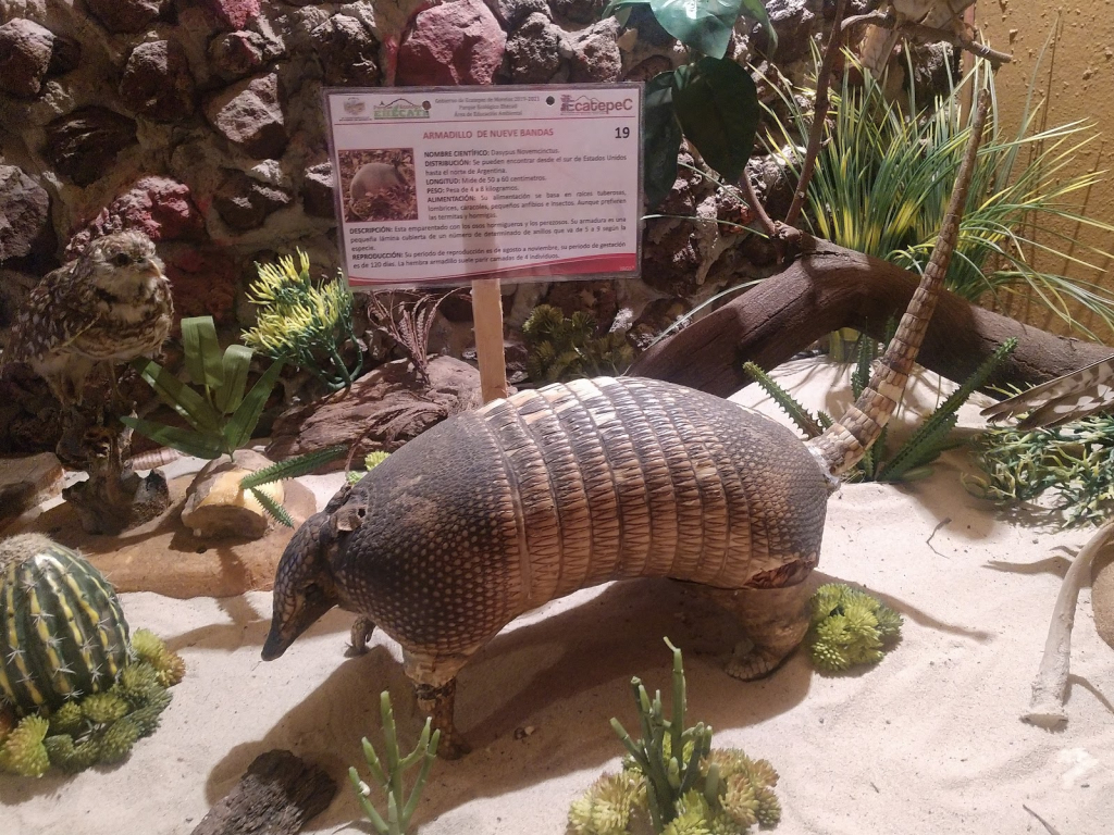 Centro de Educación Ambiental del Parque Ecológico Ehécatl, Ecatepec de ...